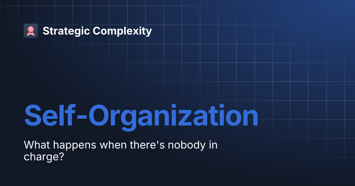 Self-Organization | Strategic Complexity